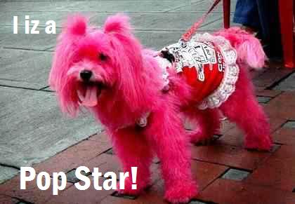Pop star dog! (in Clipart)