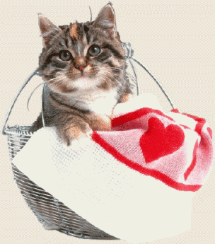 Cat smiling (in Animated GIFs)