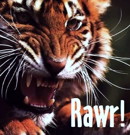 Tiger go RAWR! :3 (in Clipart)